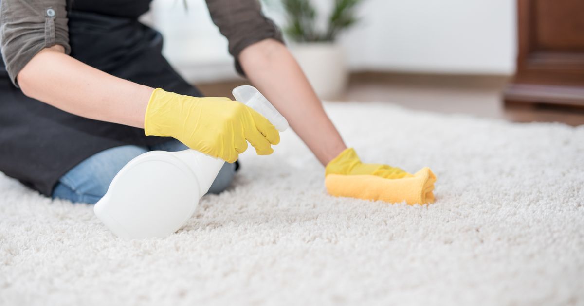 How to Deep Clean Carpets by Hand: Save Money & Refresh Your Space