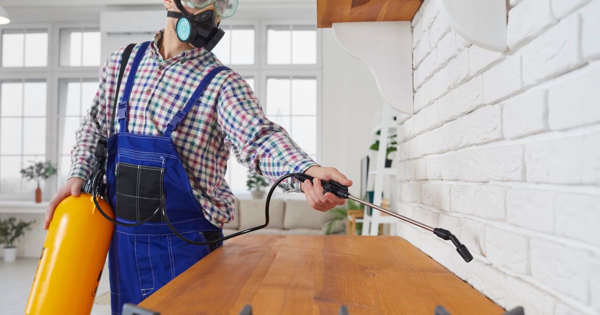 How To Get Rid of Roaches in an Apartment: Effective Strategies for a ...