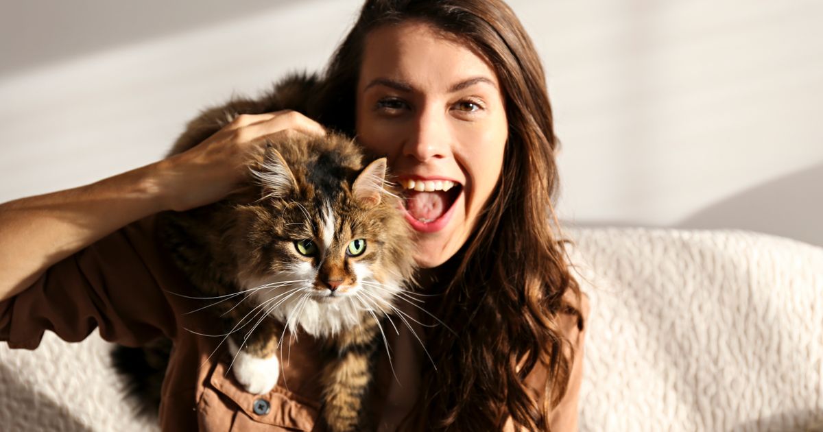 Pros and Cons of Allowing Pets in Your Rental Property