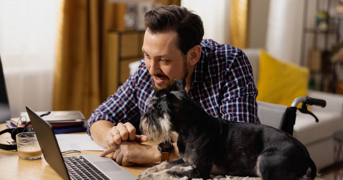 Pet Screening 101: What is Pet Screening and How Does it Work