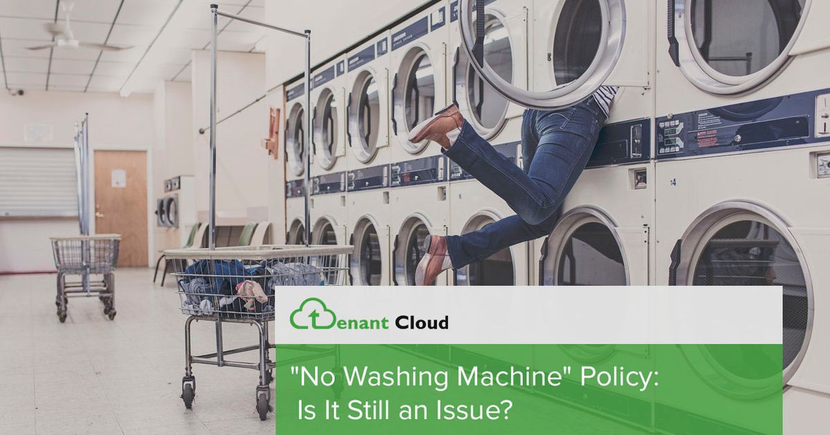 Home Rental Property Management Solutions: To Allow Or Not To Allow A ...